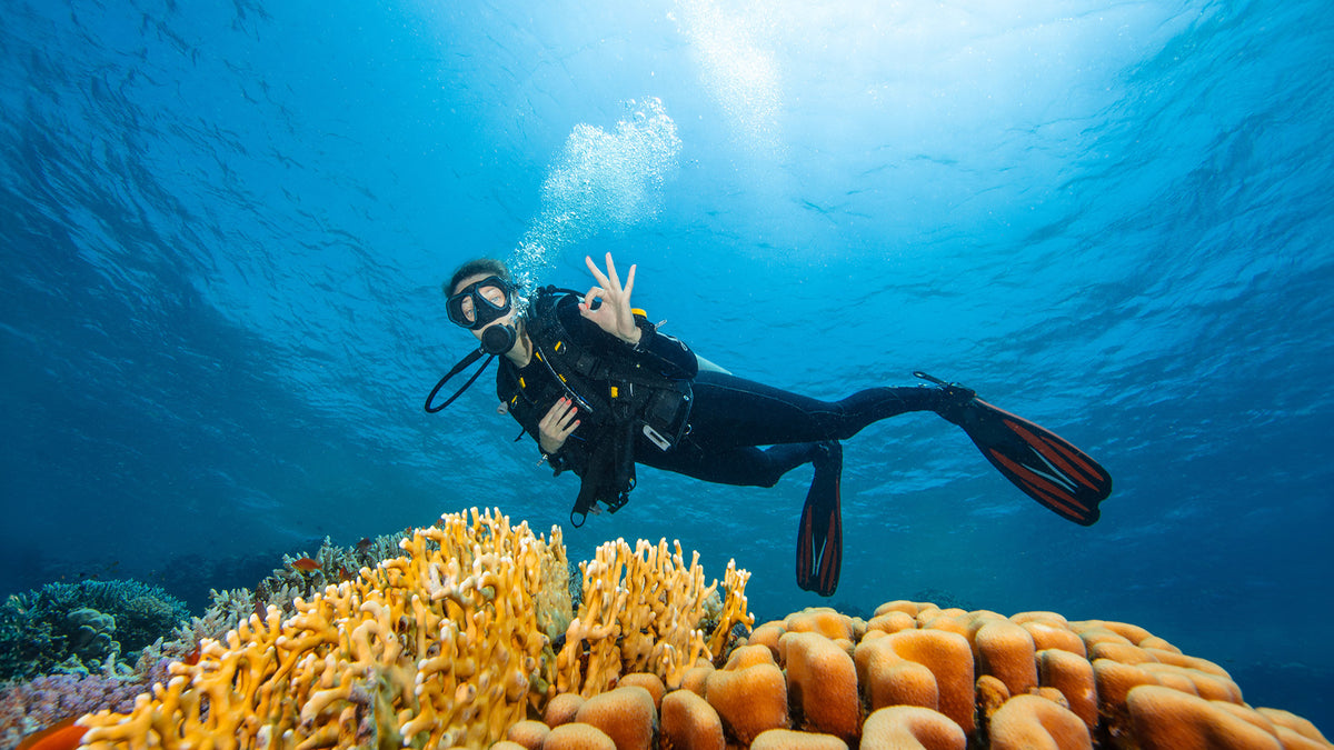 Anxiety Relief Through Scuba Diving for PTSD Individuals
