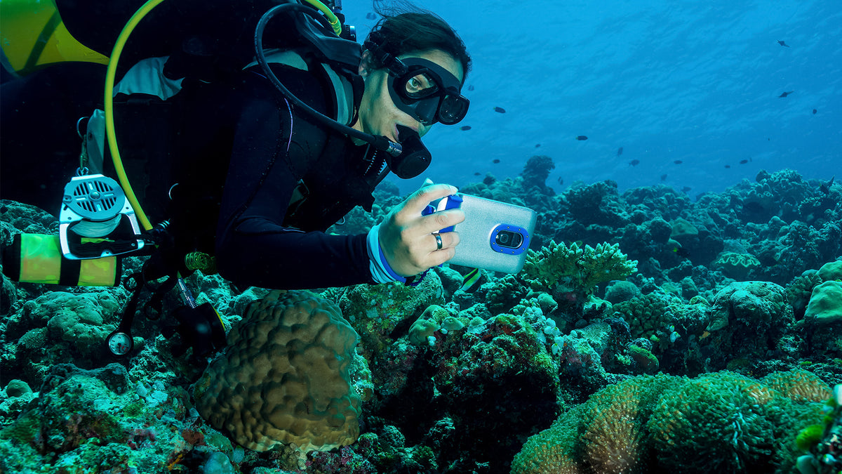Log Your Dives: The Best Suunto Apps for Dive Planning