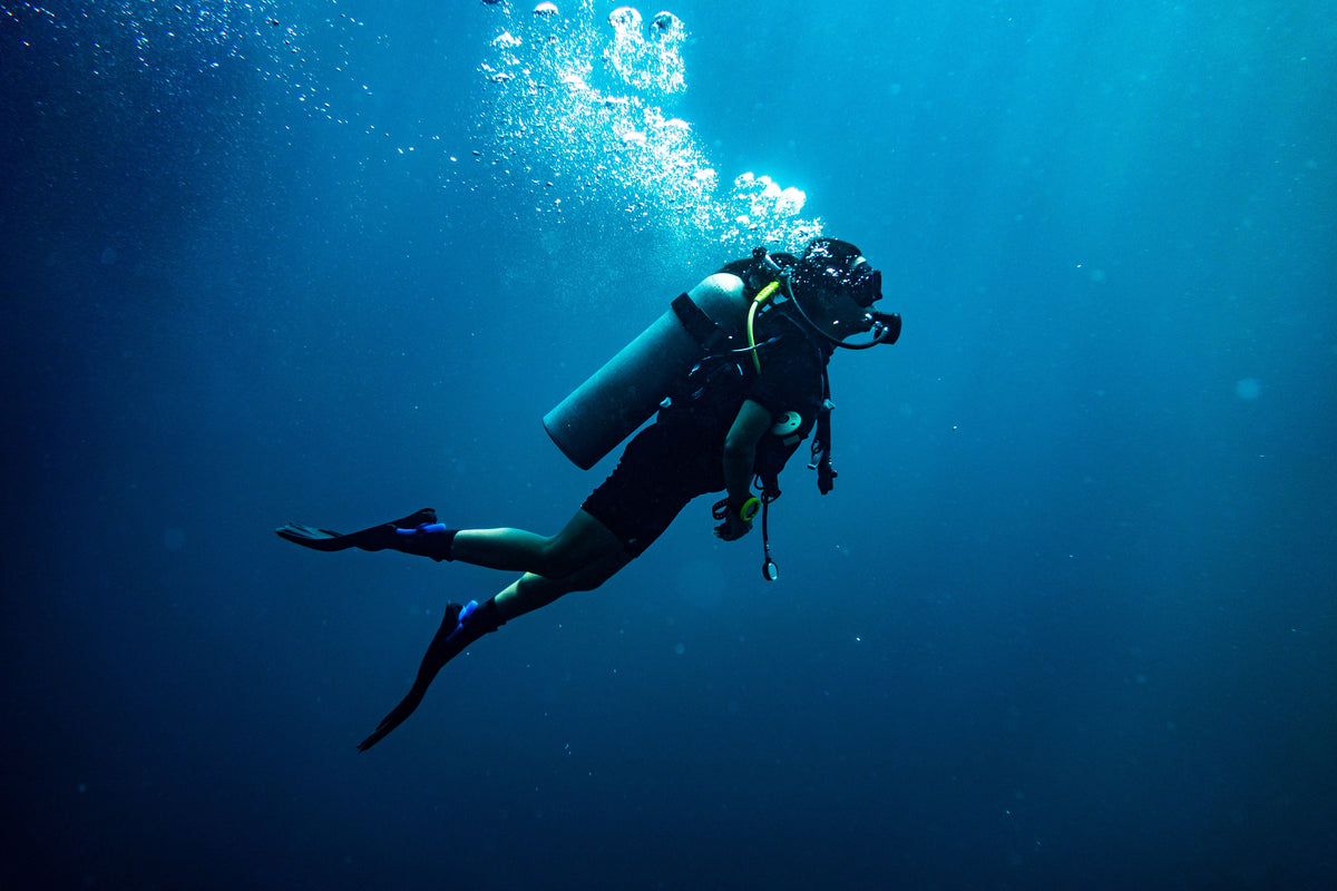 Understanding Dive Physiology | Paragon Dive Group