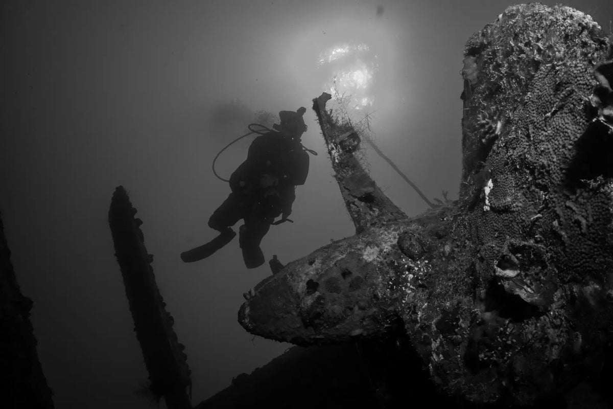 5 Fascinating Shipwrecks to Explore in the Red Sea