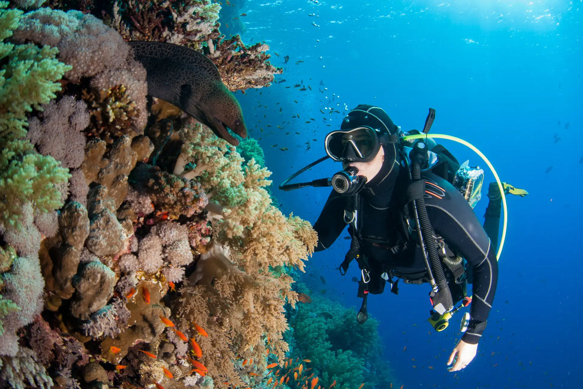 Mask, Snorkel, Computer, Fins: Your First Scuba Gear Guide