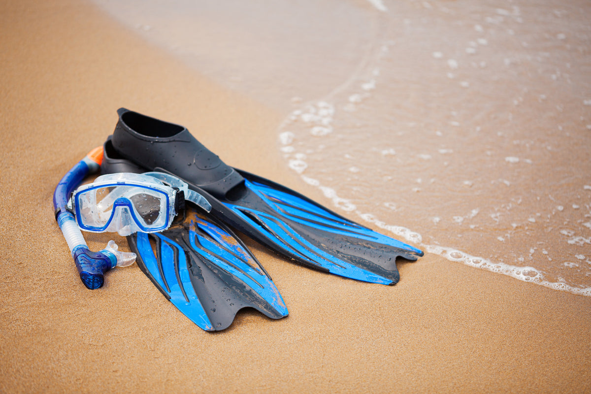 Fins: Choosing the Right Type for Optimal Scuba Diving Performance