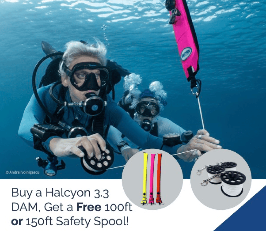 Online Scuba Gear Store + Training & Travel | Paragon Dive – Paragon ...