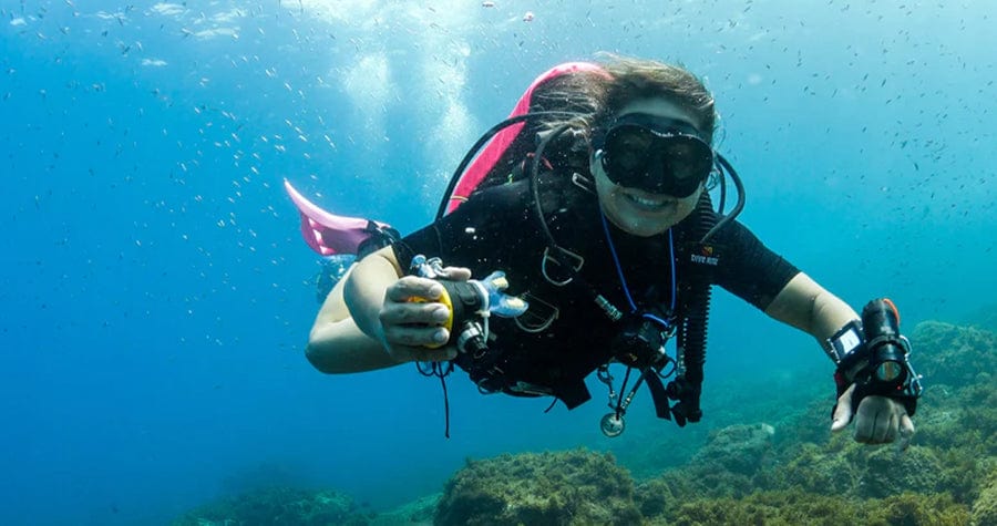 Diving San Carlos Beach Photo And Video Gallery Main Gary's Dive